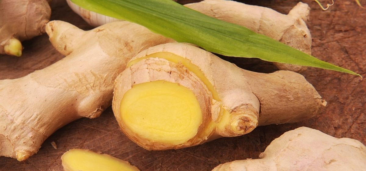 Terbukti Secara Ilmiah, Ini 10+ Manfaat Jahe untuk Kesehatan
