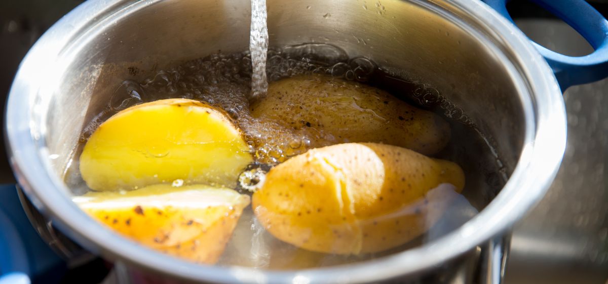 Apakah Kentang Bagus untuk Diet? Ini Kandungan Gizinya | Blog Rey