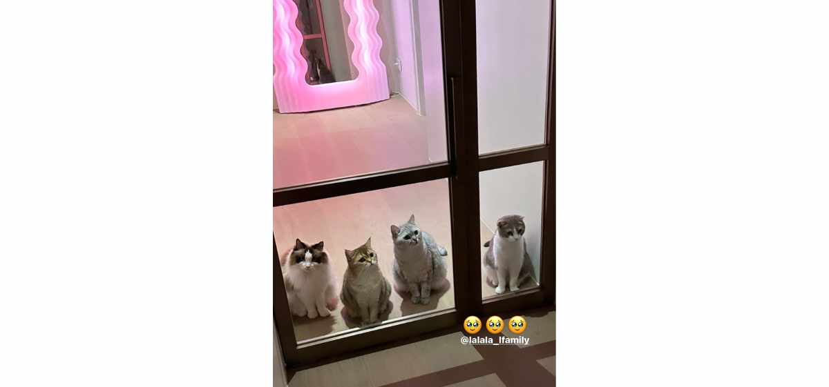 Multitalenta Banget, Ini Biodata Lisa Blackpink dan 15 Fakta Menariknya ...