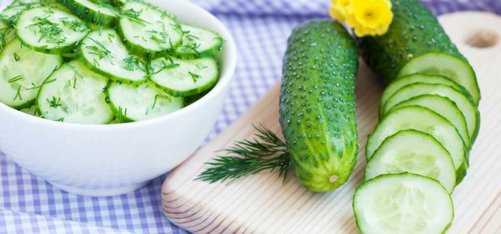 Kaya akan Air, 9 Manfaat Timun untuk Kesehatan Tubuh | Blog Rey