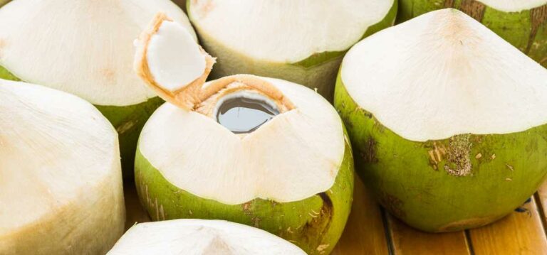 Obat Alami, 9 Manfaat Air Kelapa Muda untuk Kesehatan | Blog Rey