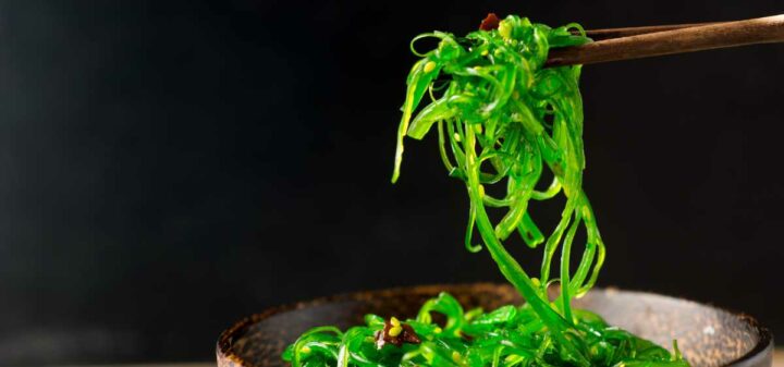 7 Manfaat Rumput Laut yang Menakjubkan untuk Kesehatan | Blog Rey