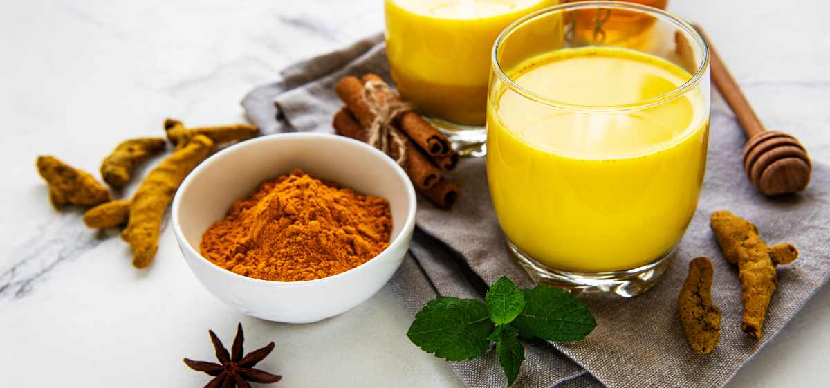 Tanaman Asli Indonesia, 11 Manfaat Temulawak untuk Kesehatan | Blog Rey