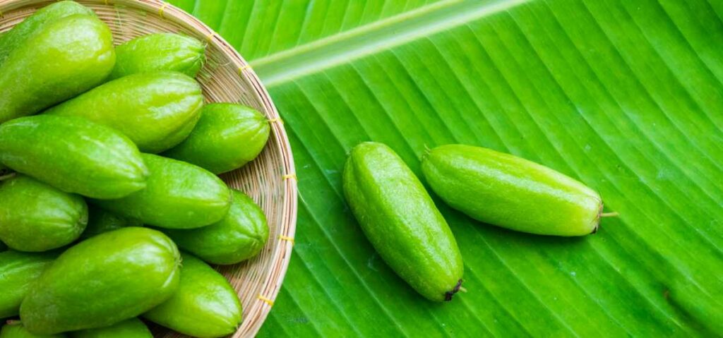 Simak! 10 Manfaat Belimbing Wuluh bagi Kesehatan Tubuh | Blog Rey