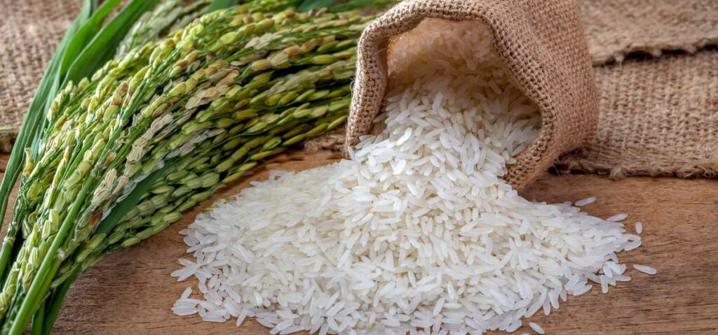 5 Manfaat Masker Beras untuk Kulit Wajah dan Cara Membuatnya | Blog Rey