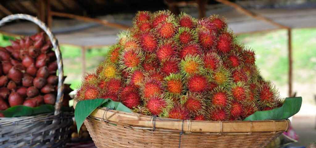 18 Manfaat Makan Rambutan untuk Kesehatan Tubuh | Blog Rey