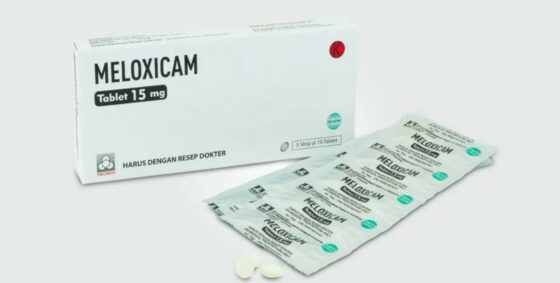 Meloxicam: Fungsi, Dosis dan Efek Sampingnya! | Blog Rey