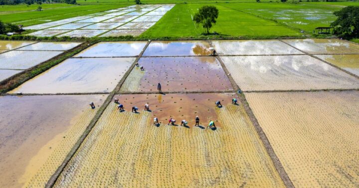 6 Ciri-Ciri Dataran Rendah dan Pesebarannya di Indonesia | Blog Rey